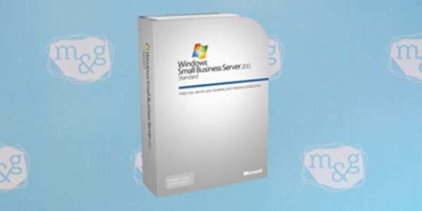 Windows Small Business Server - Müller&Gempeler IT Services GmbH
